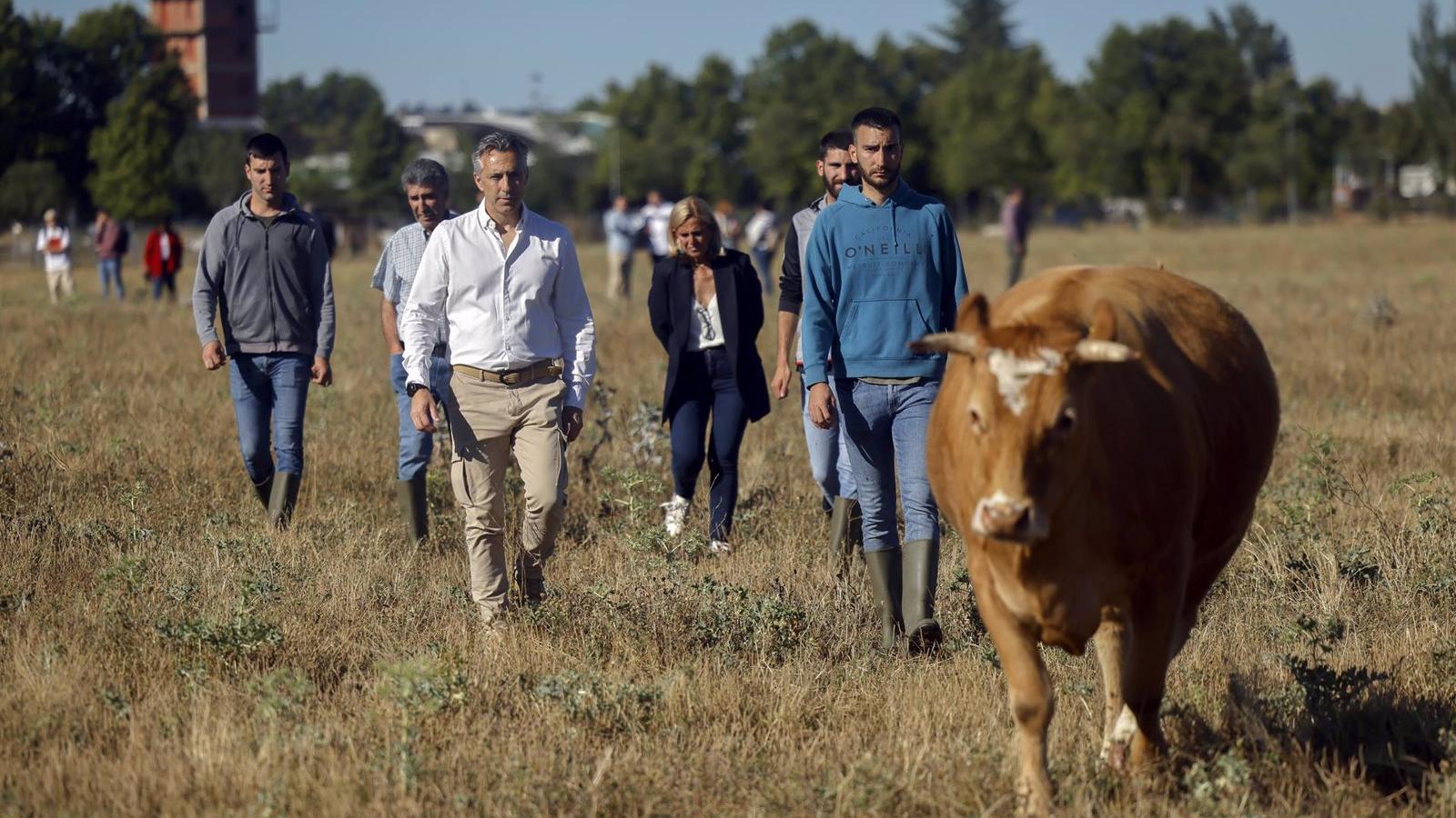 La Comunidad de Madrid adelanta 16 millones en ayudas agrícolas ...